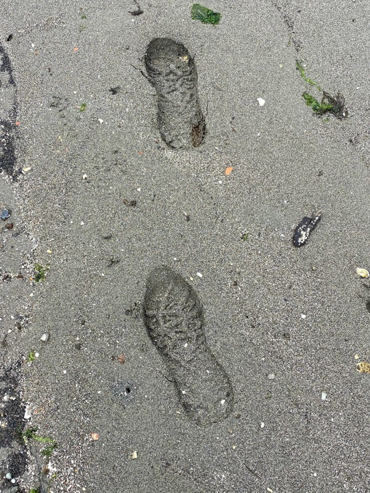 Lifelet: Footsteps | On the Way to Somewhere Else
